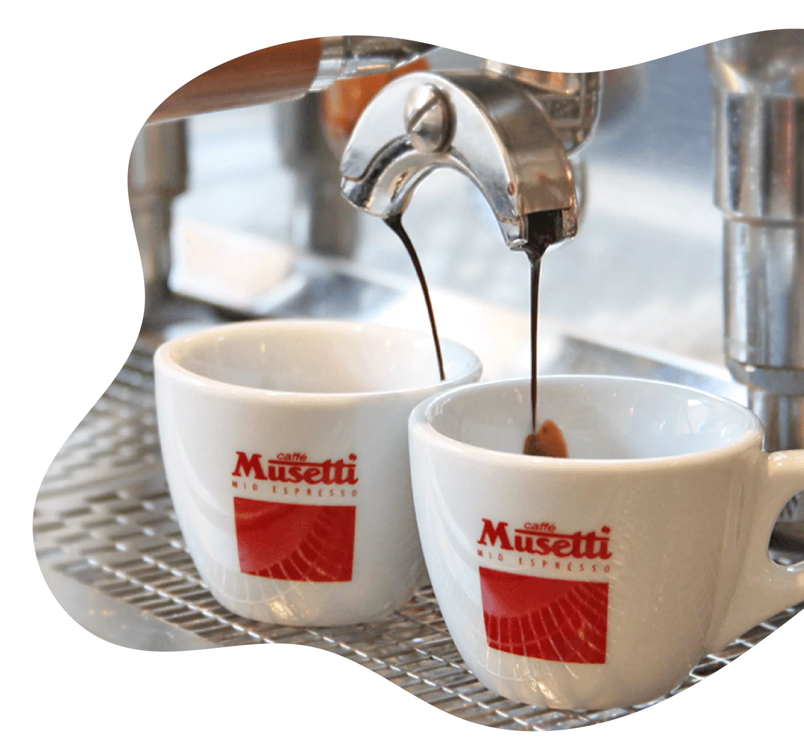 ABOUT US - Caffè Musetti